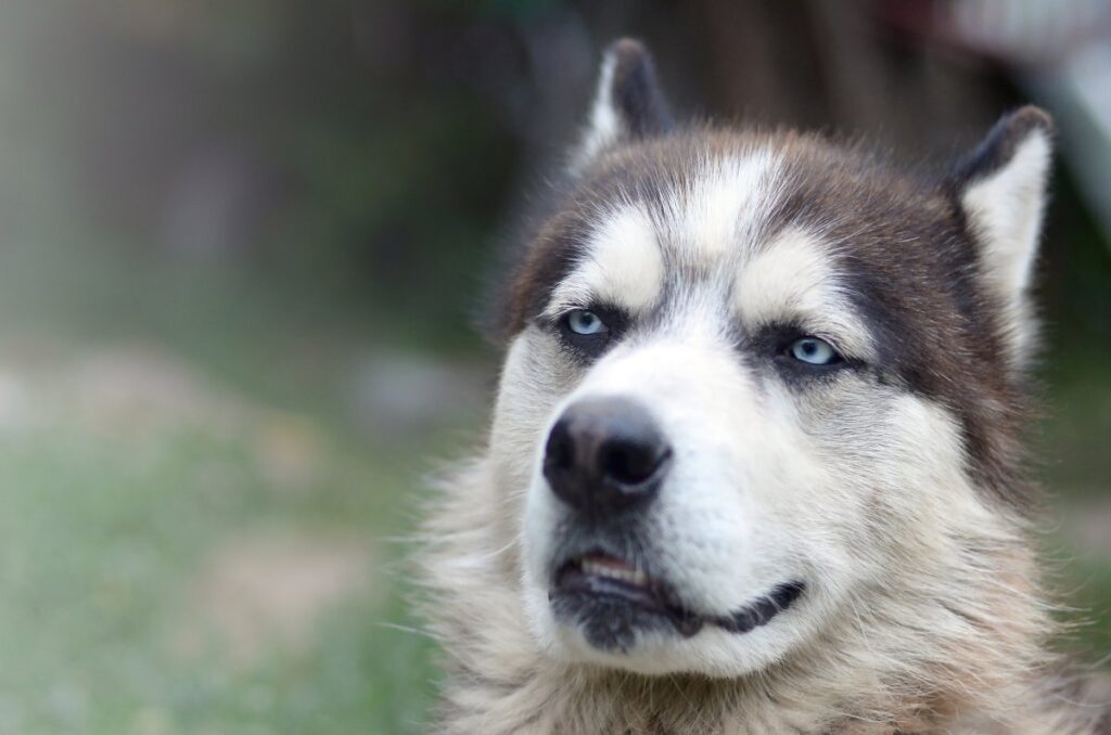 Why do interviewers ask funny questions? - Grumpy Punch